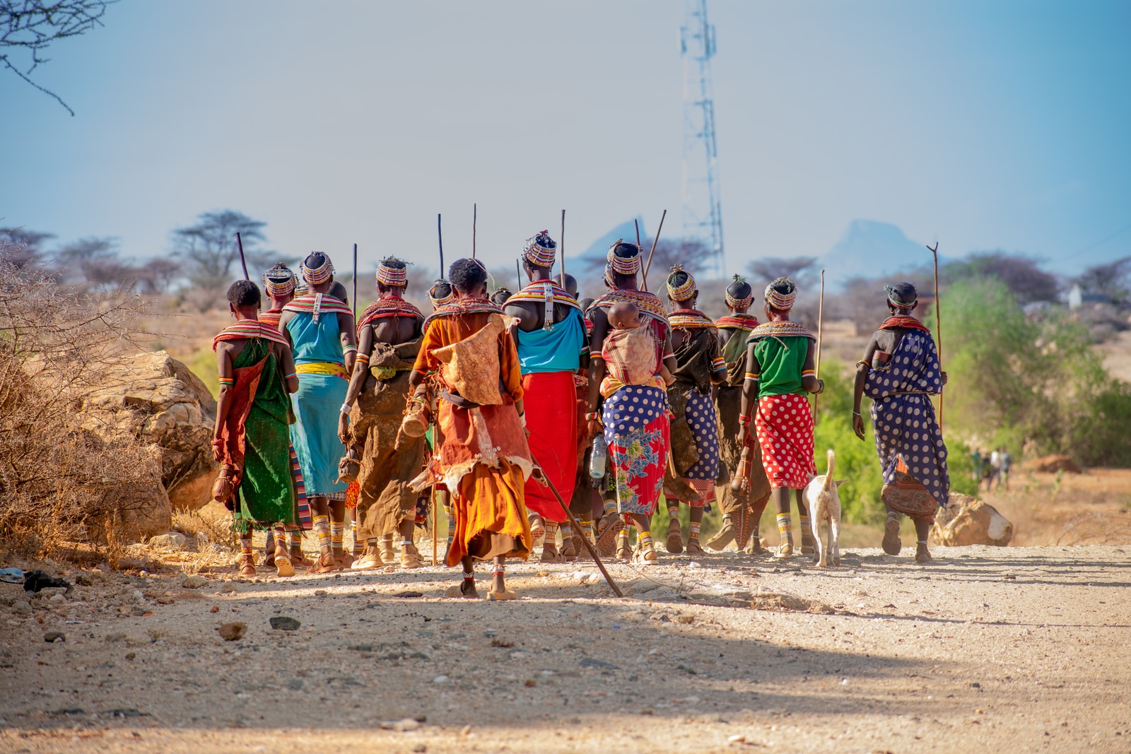 5 Festivals Celebrated In Senegal That You Should Know About Palace 5 Festivals Celebrated In Senegal That You Should Know About Palace