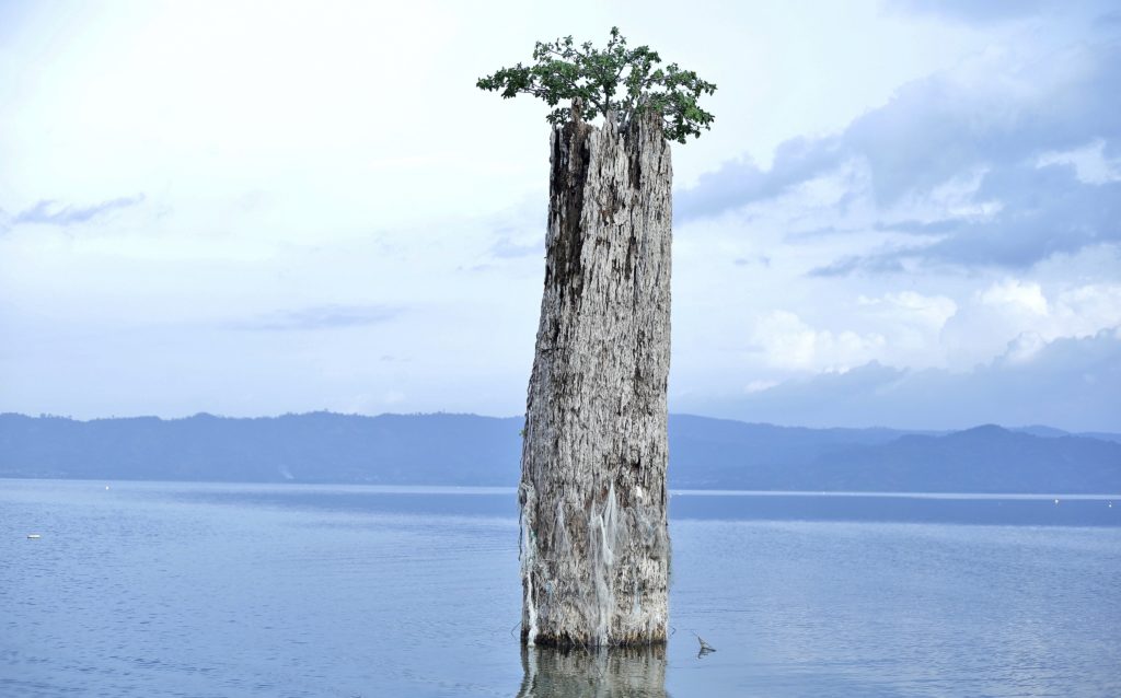 Ashanti Kingdom: The Best Place to Travel to in 2022 - Palace Travel